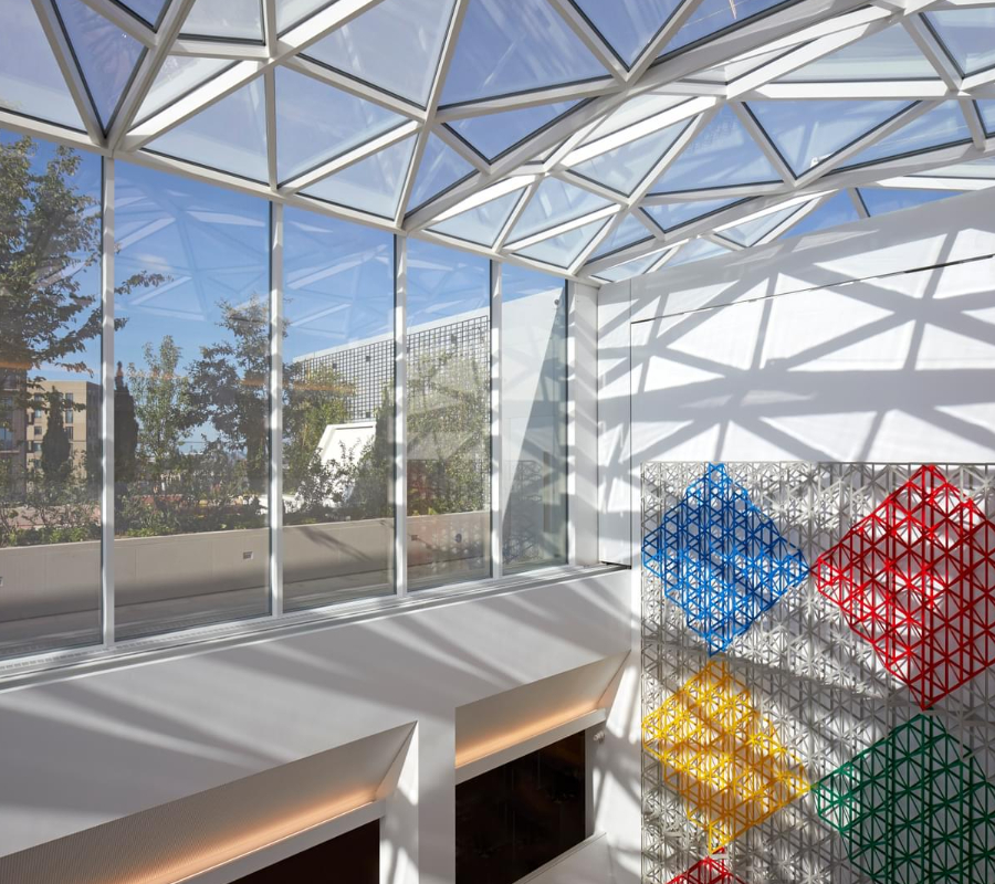 Dr Shiraz Thobani Retires as Head of Department of Curriculum Studies | IIS