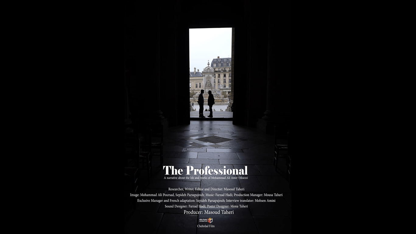 'The Professional' screening and discussion | The Institute of Ismaili ...